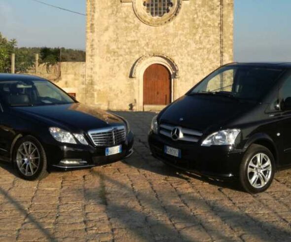 PlacenPeople - Transfer